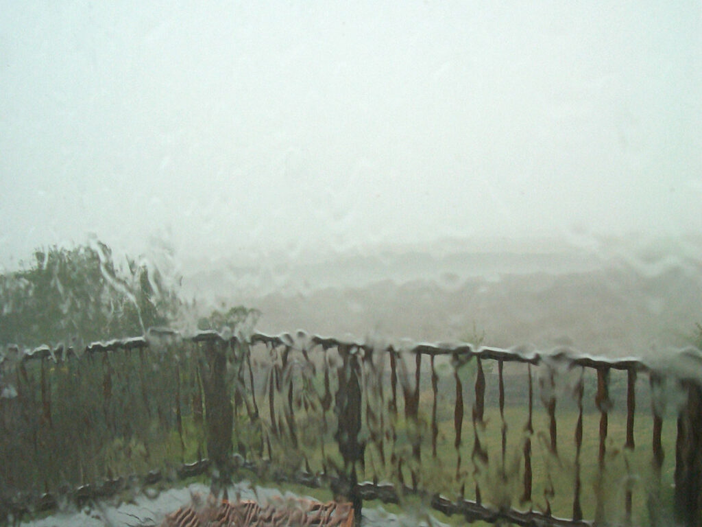 Ausgestellt · Conny Fischer