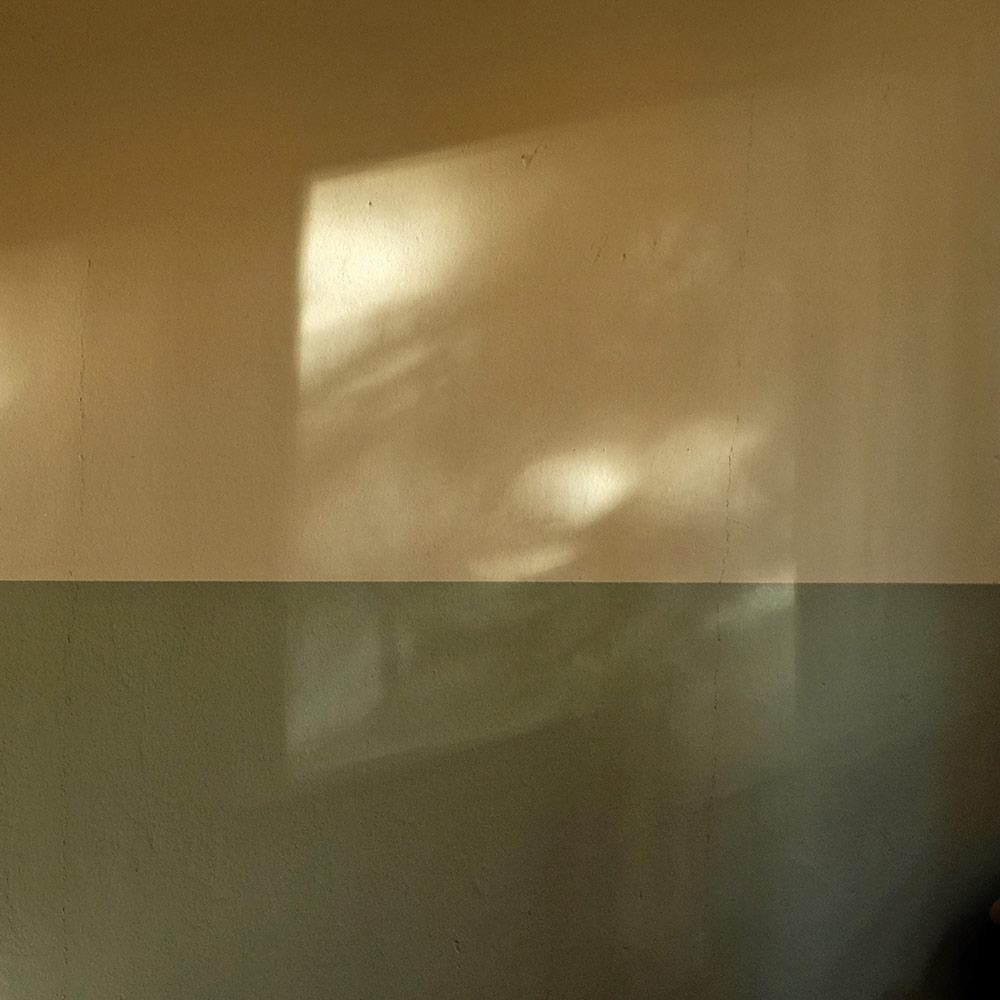 Impressionen · Conny Fischer