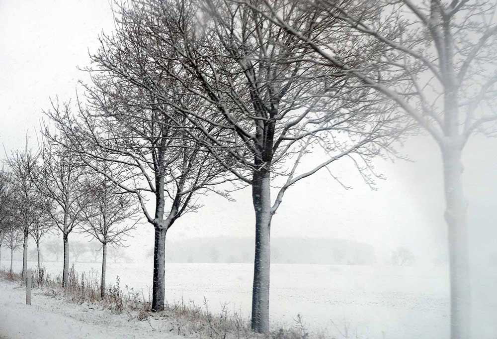 Ausgestellt · Conny Fischer